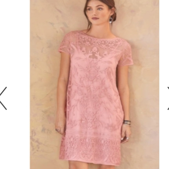 Sundance | Dresses | Sundance True Grace Lace Dress Boho Cottagecore ...